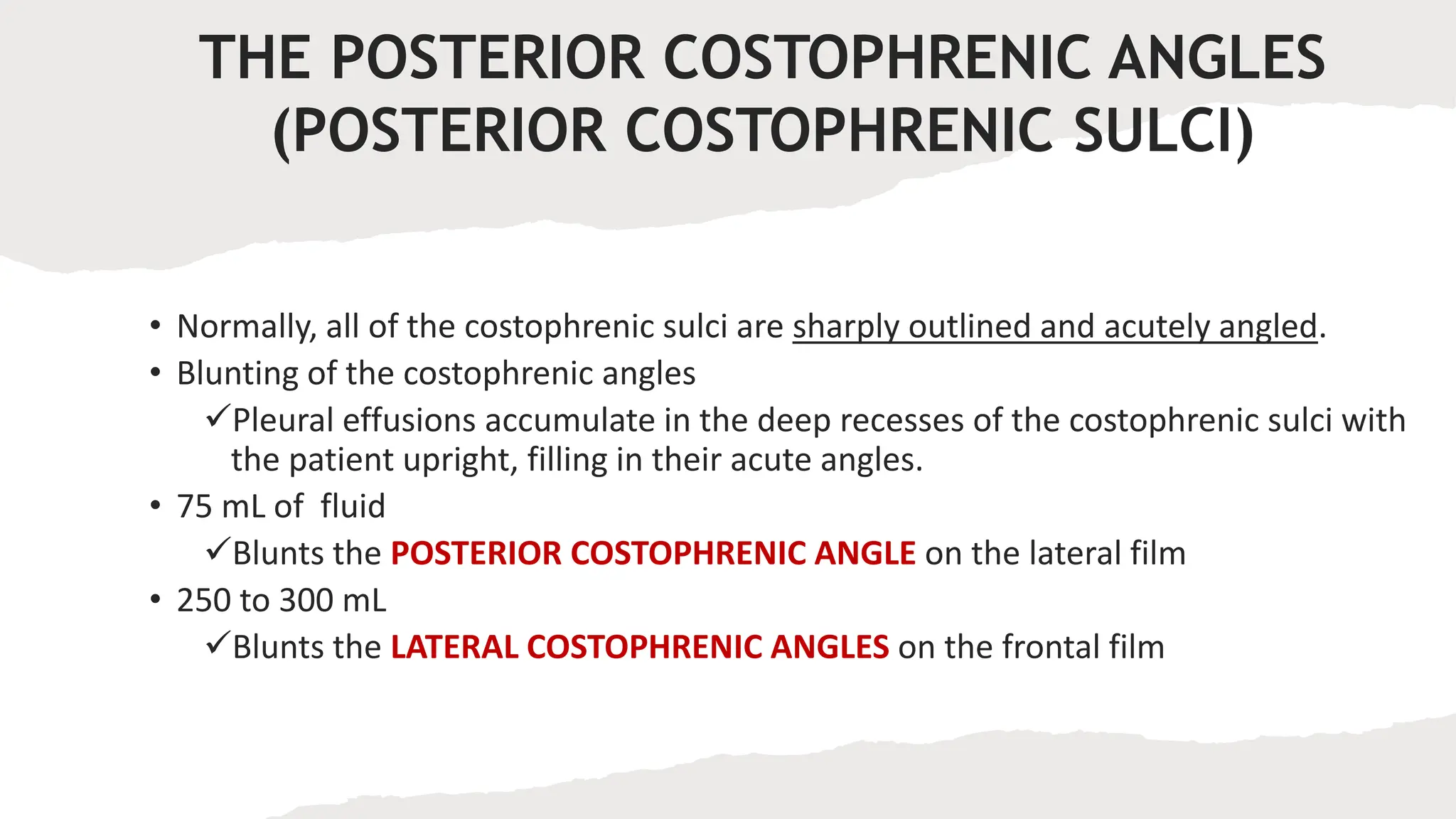 RADIOLOGIC PULMONARY ANATOMY STUDIES.PPT