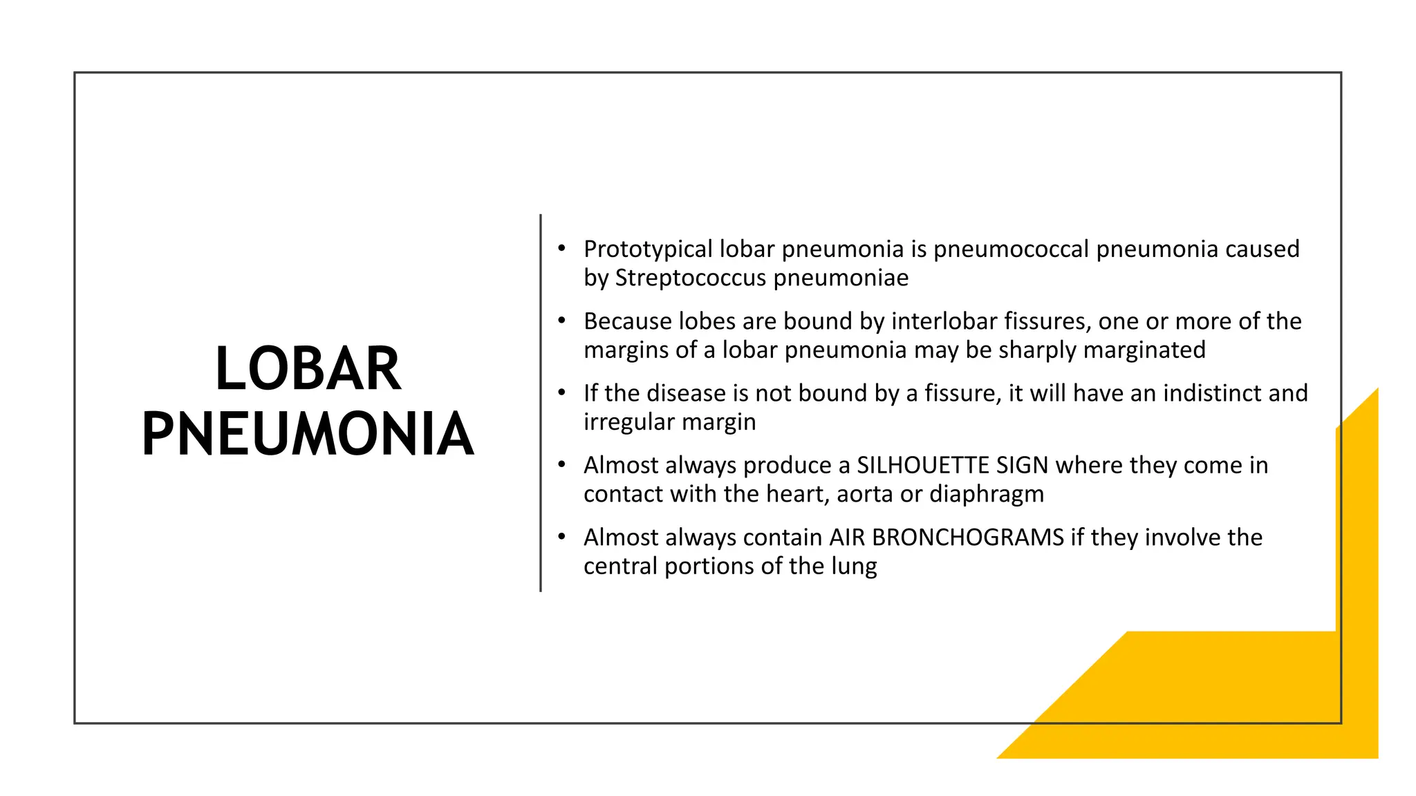 RADIOLOGIC PULMONARY ANATOMY STUDIES.PPT