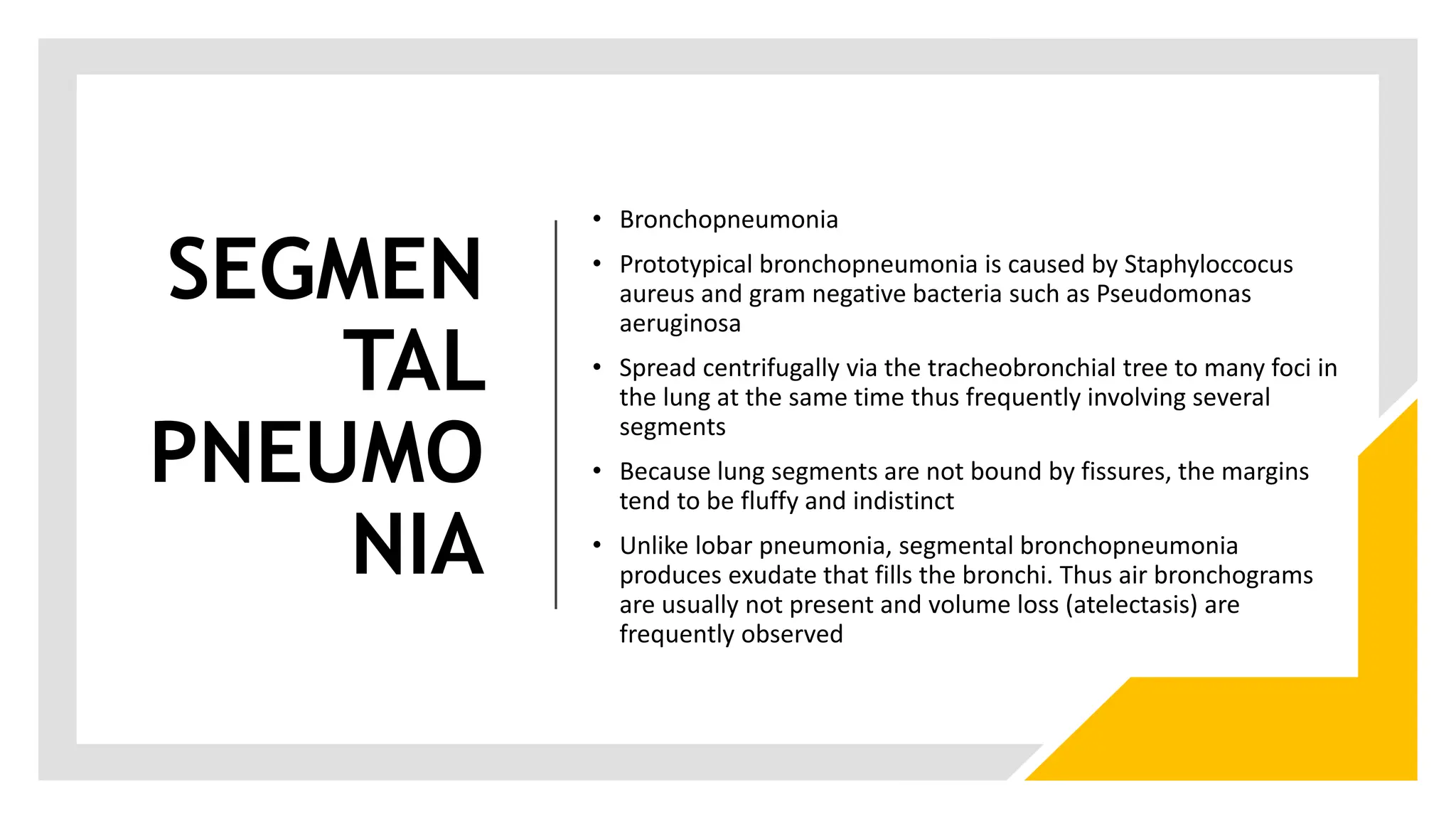 RADIOLOGIC PULMONARY ANATOMY STUDIES.PPT