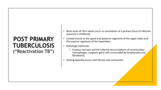 RADIOLOGIC PULMONARY ANATOMY STUDIES.PPT