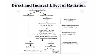 Radiology | PPT