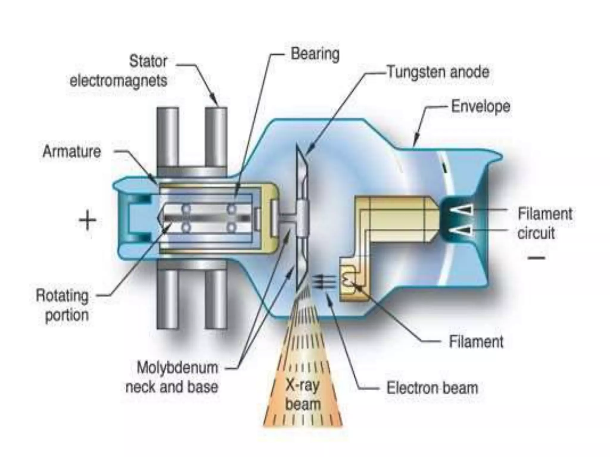 general Radiological anatomy | PPTX