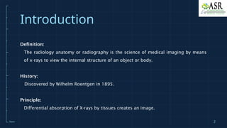 PPT - Radiology - Anatomy - 1st BHMS.pptx
