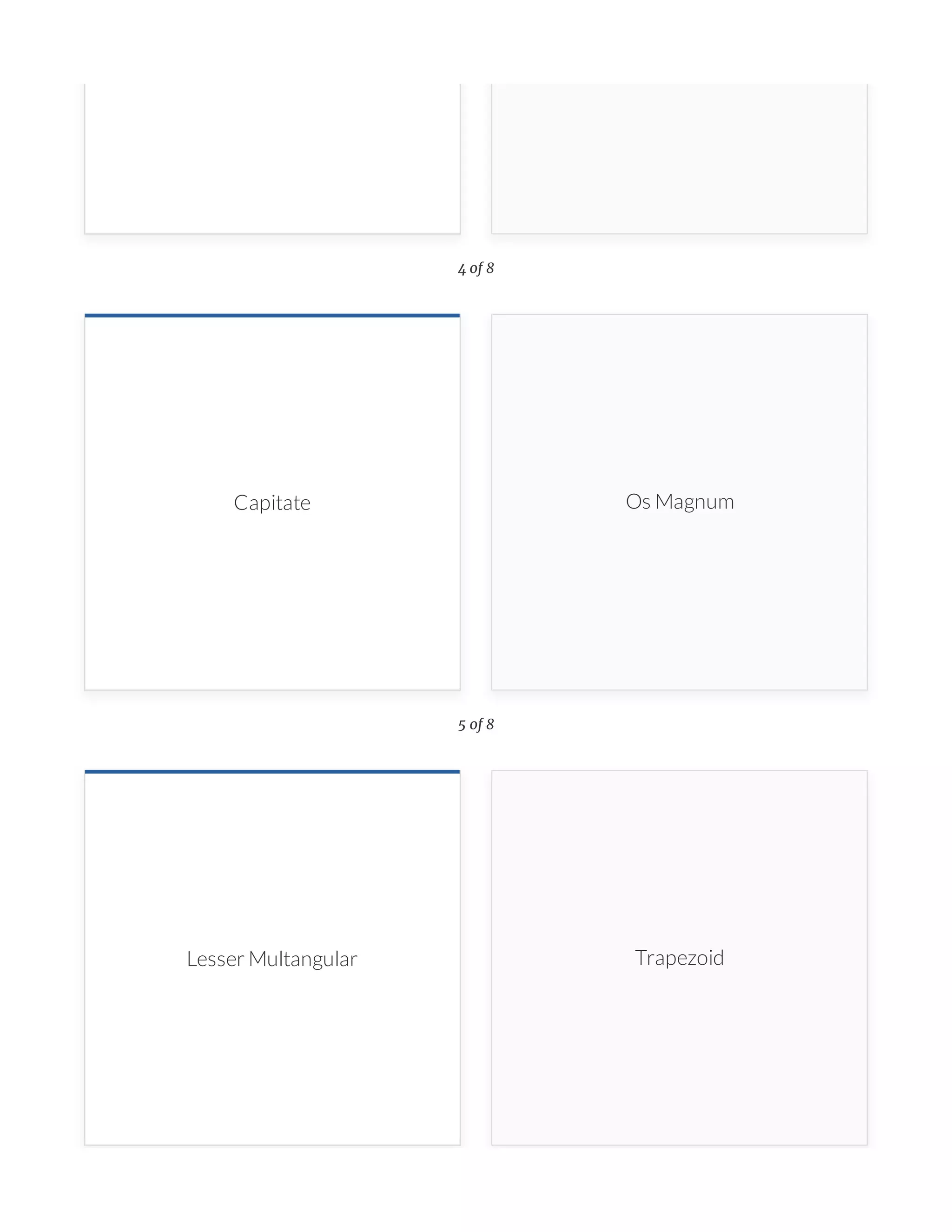Radiology Anatomy of the Hand and Wrist | PDF