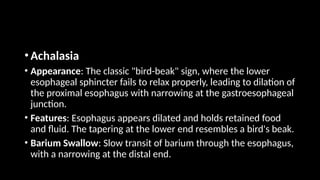 Radiology abdomen mbbs pdf detailed explanations | PPT