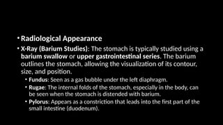 Radiology abdomen mbbs pdf detailed explanations | PPT