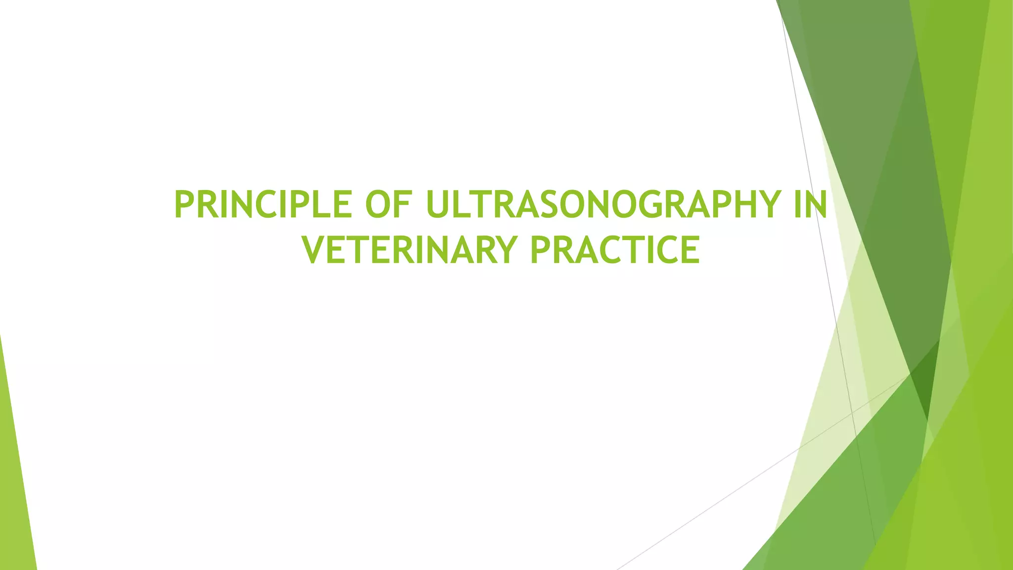 principles of ultrasonography | PPTX