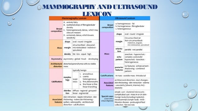 Radiology day 1 mammography