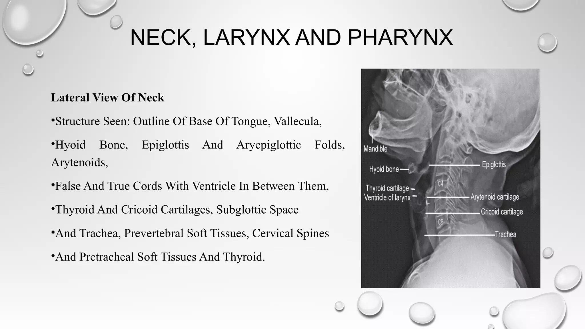 Radiological Imaging in Head and Neck and relevant anatomy | PPT