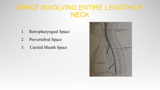 Radiological Imaging in Head and Neck and relevant anatomy | PPT