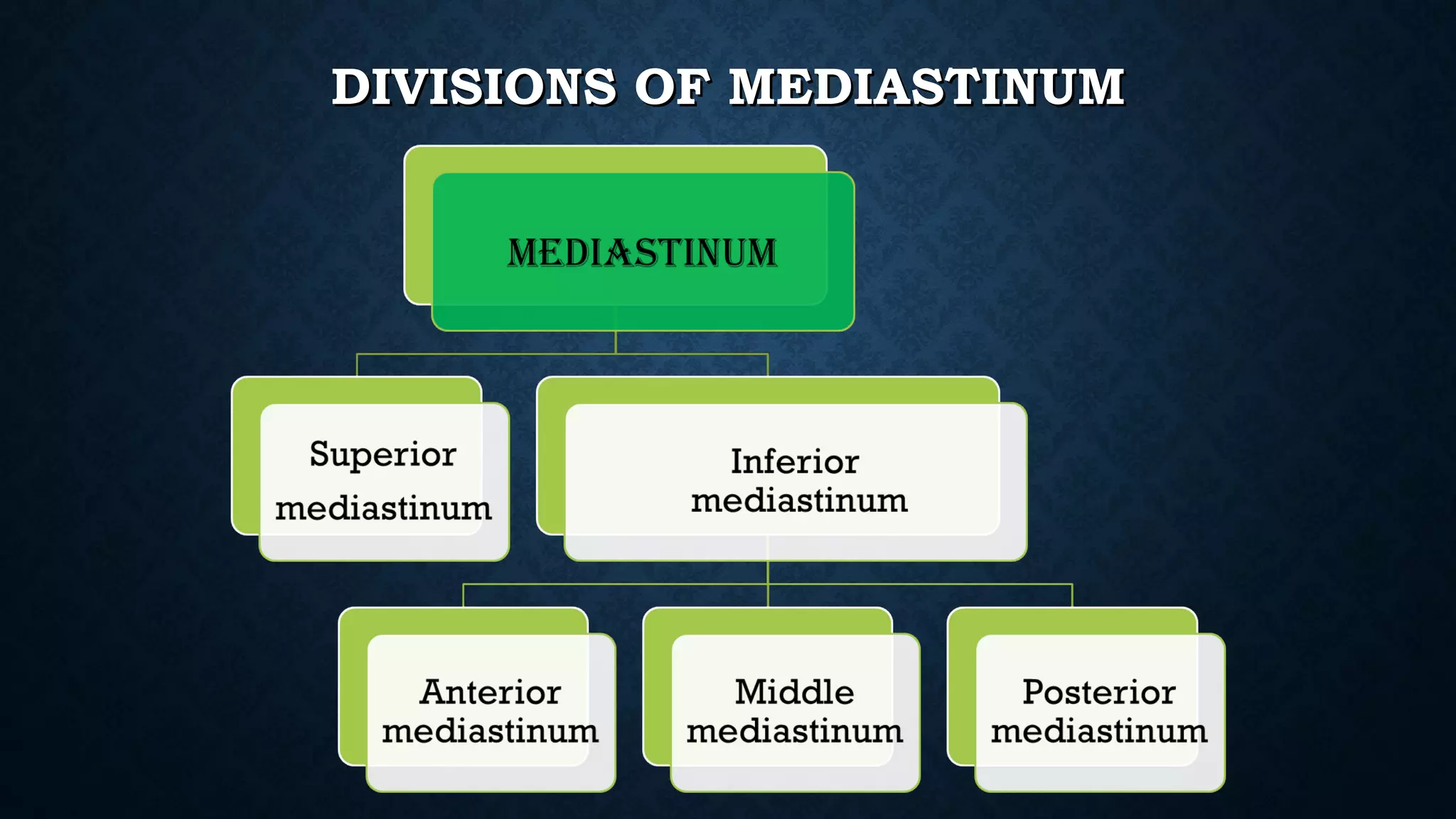 Radiology day 3 mediastinal anatomy | PPT