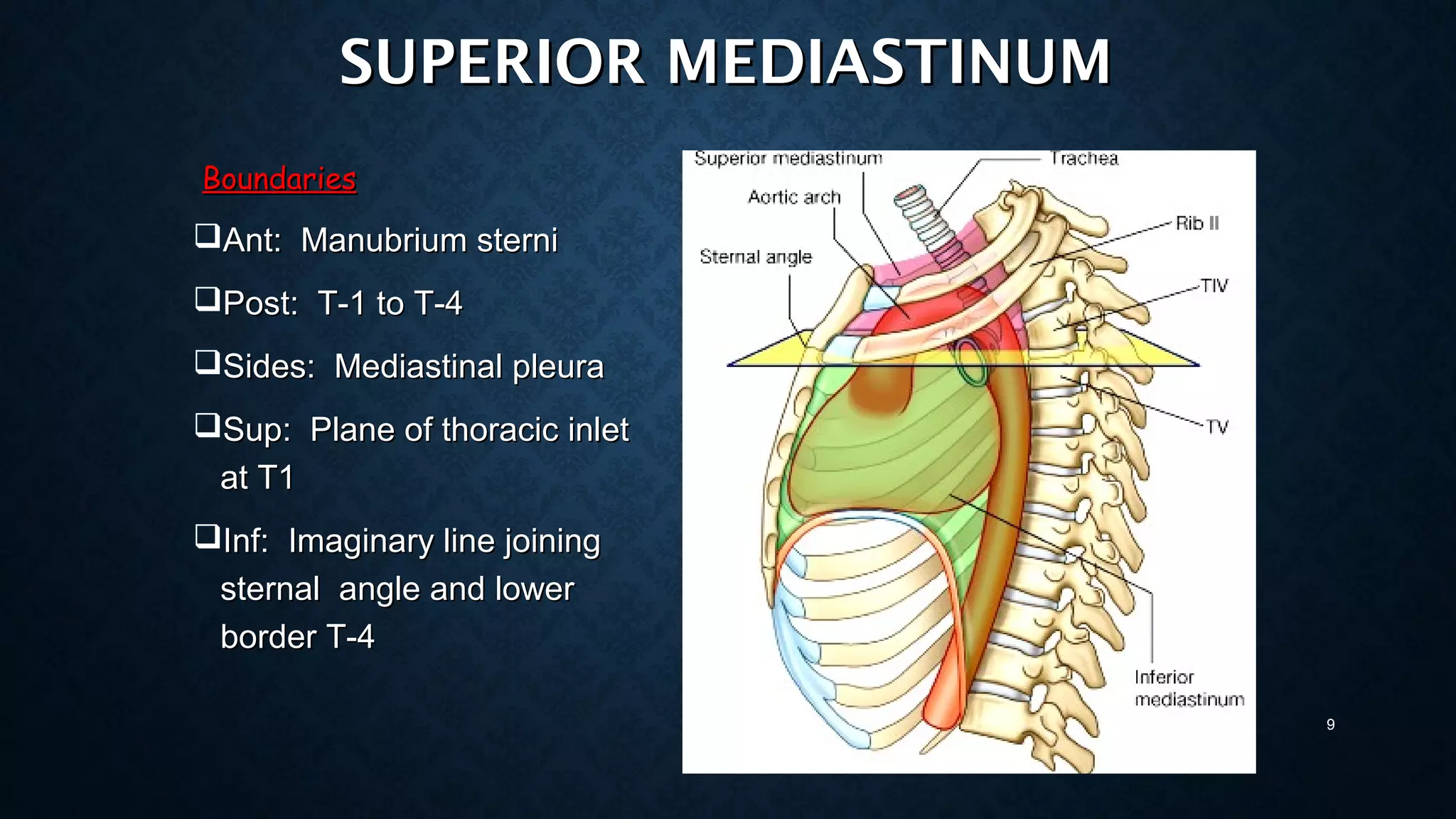 Radiology day 3 mediastinal anatomy | PPT
