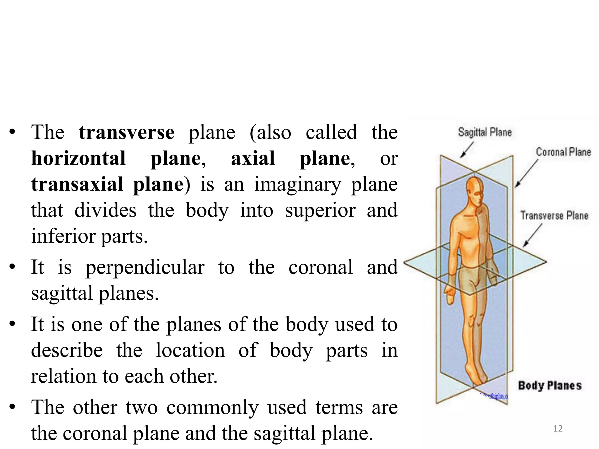 Radiology_Equipment_Lec-1_Dr. Emad Taleb.pdf