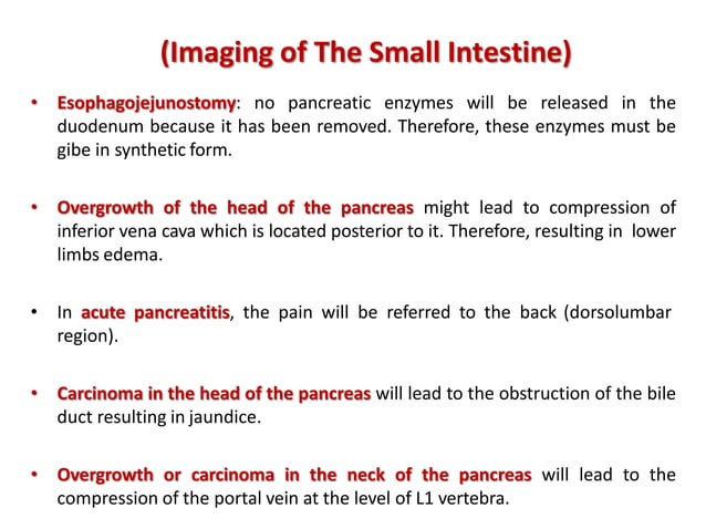 RADIOLOGY/Imaging of The Small Intestine | PPT | Free Download