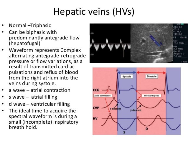 Radiology in portal hypertension