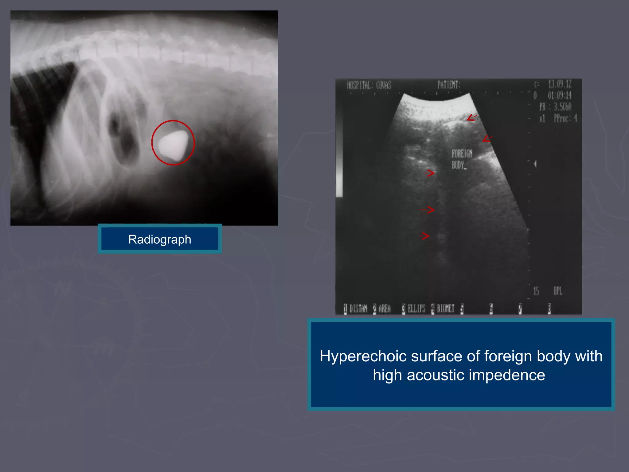 Radiology interpretation | PPT