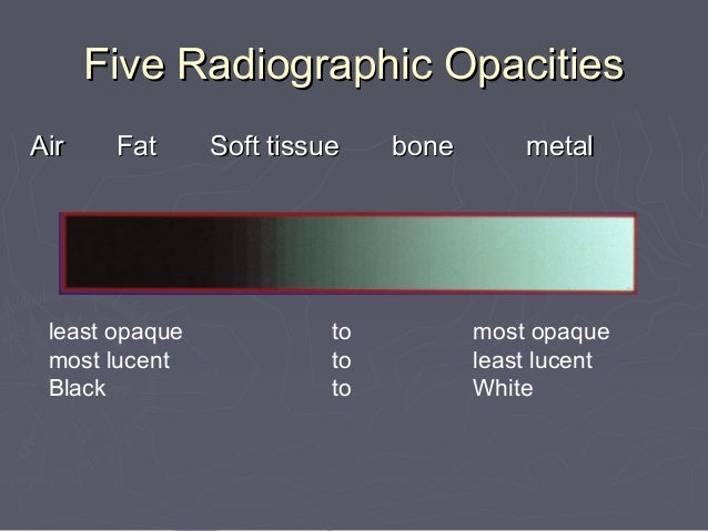 Radiology interpretation