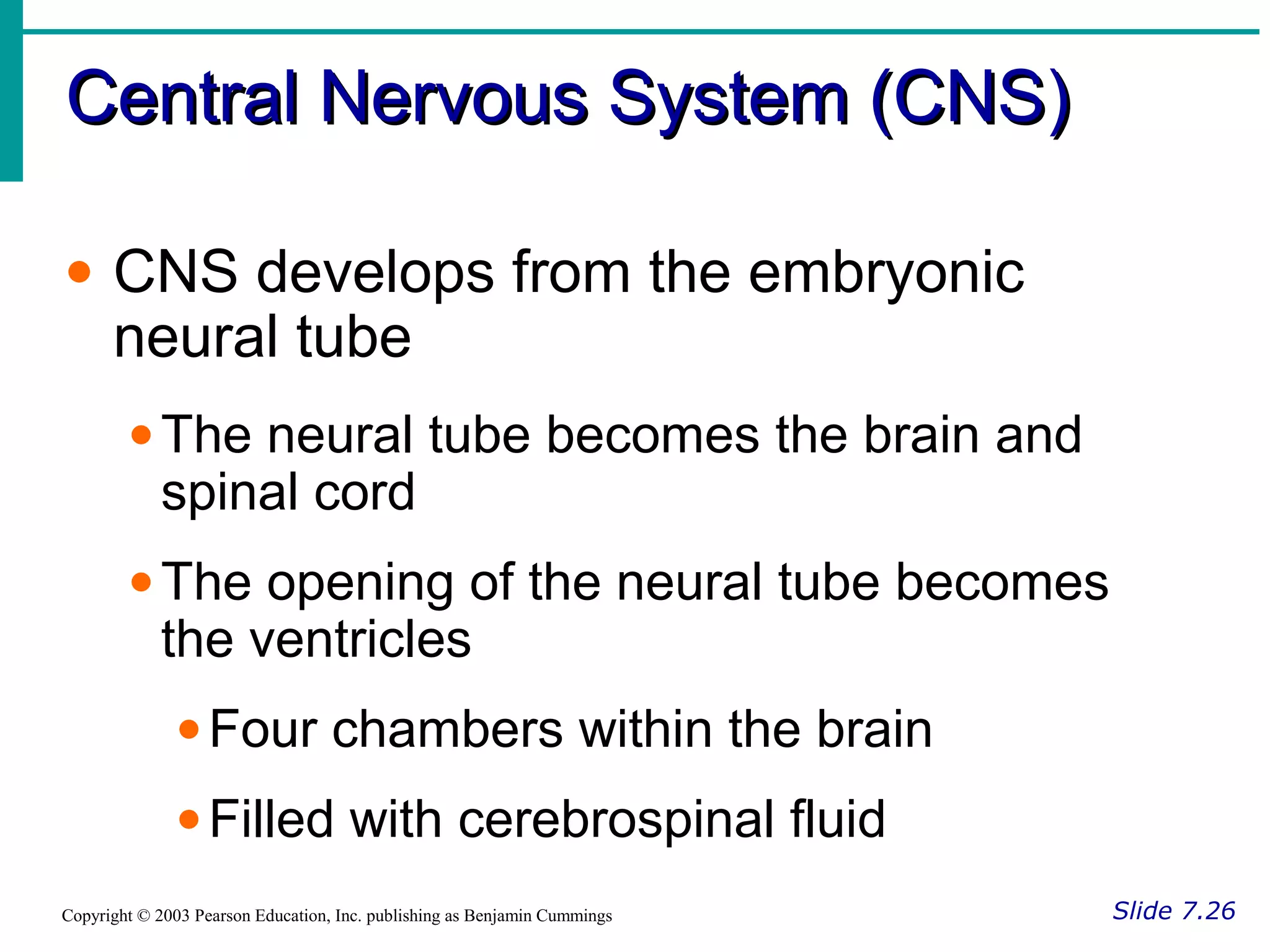 Radiology of central nervous system | PPT