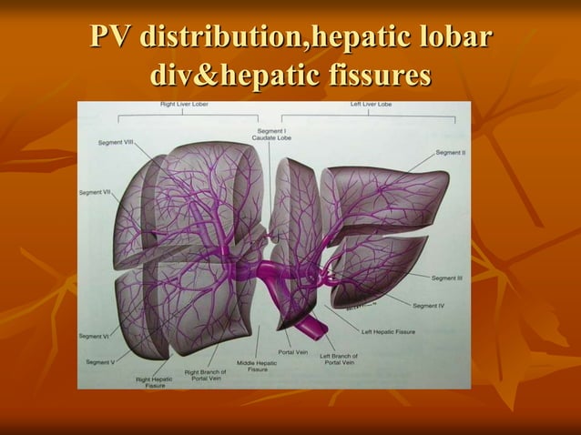 Radiology anatomy and imaging ofliver.ppt