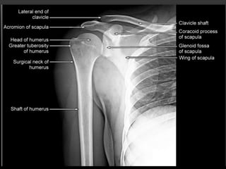 Edwards- Radiology for students | PPTX
