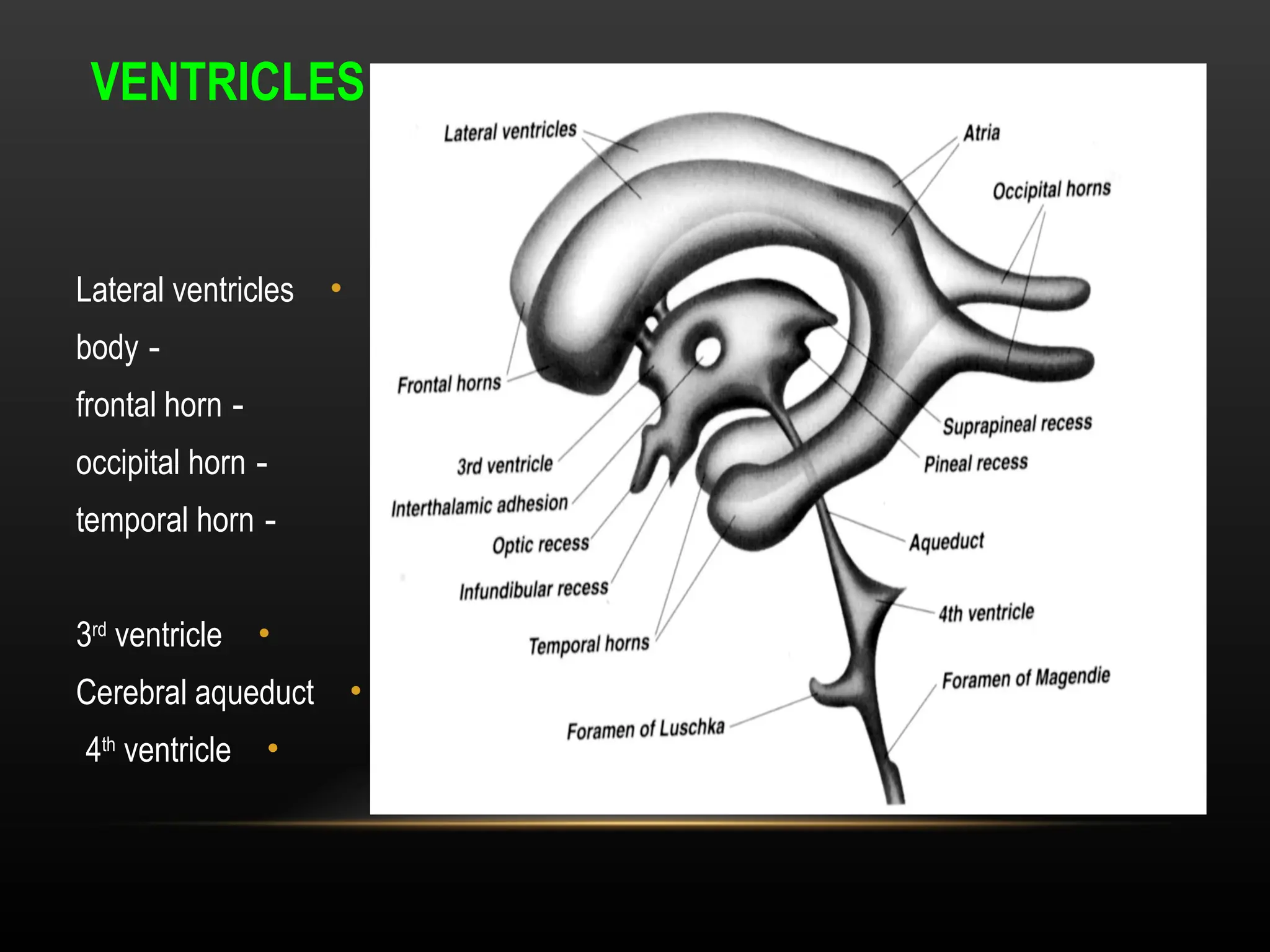 Radiological anatomy of Brain and stroke imaging.ppt