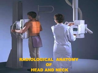 RADIOLOGY OF HEAD and NECK -Anatomy.pptx