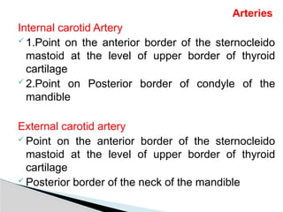 RADIOLOGY OF HEAD and NECK -Anatomy.pptx