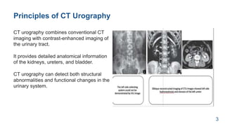 radiology ppt..pptx you want me to do that | PPT