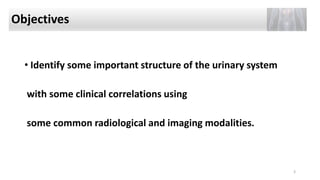 Radiology Urinary system Presentation 2022 (2).pptx