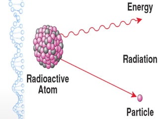Radiometric dating | PDF