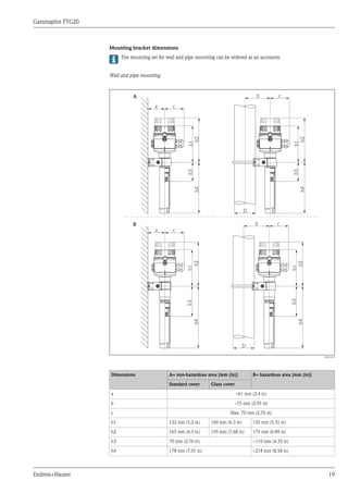 Radiometric measuring technology-Gammapilot FTG20 | PDF