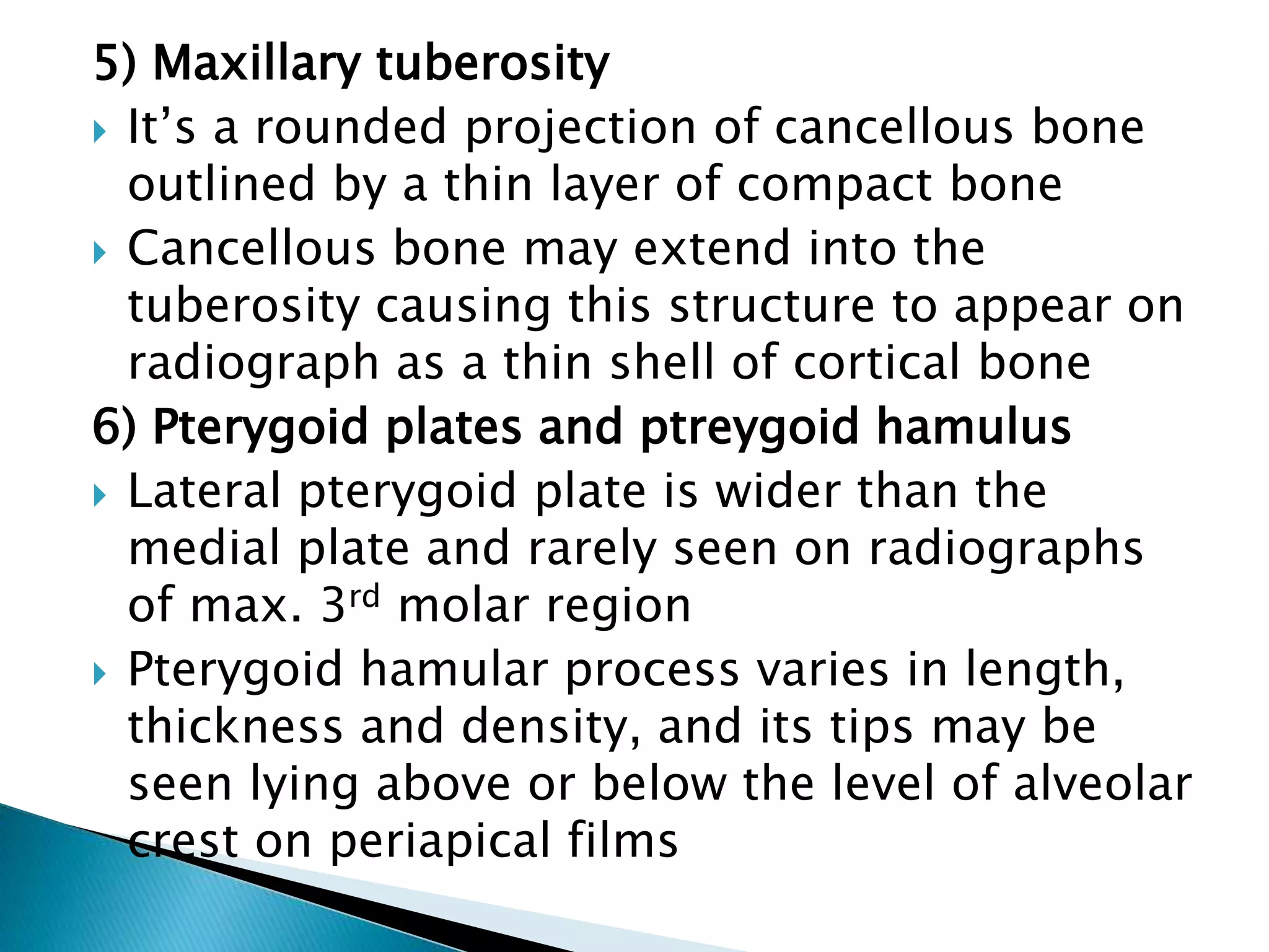 Radiopacities of jaws | PPTX
