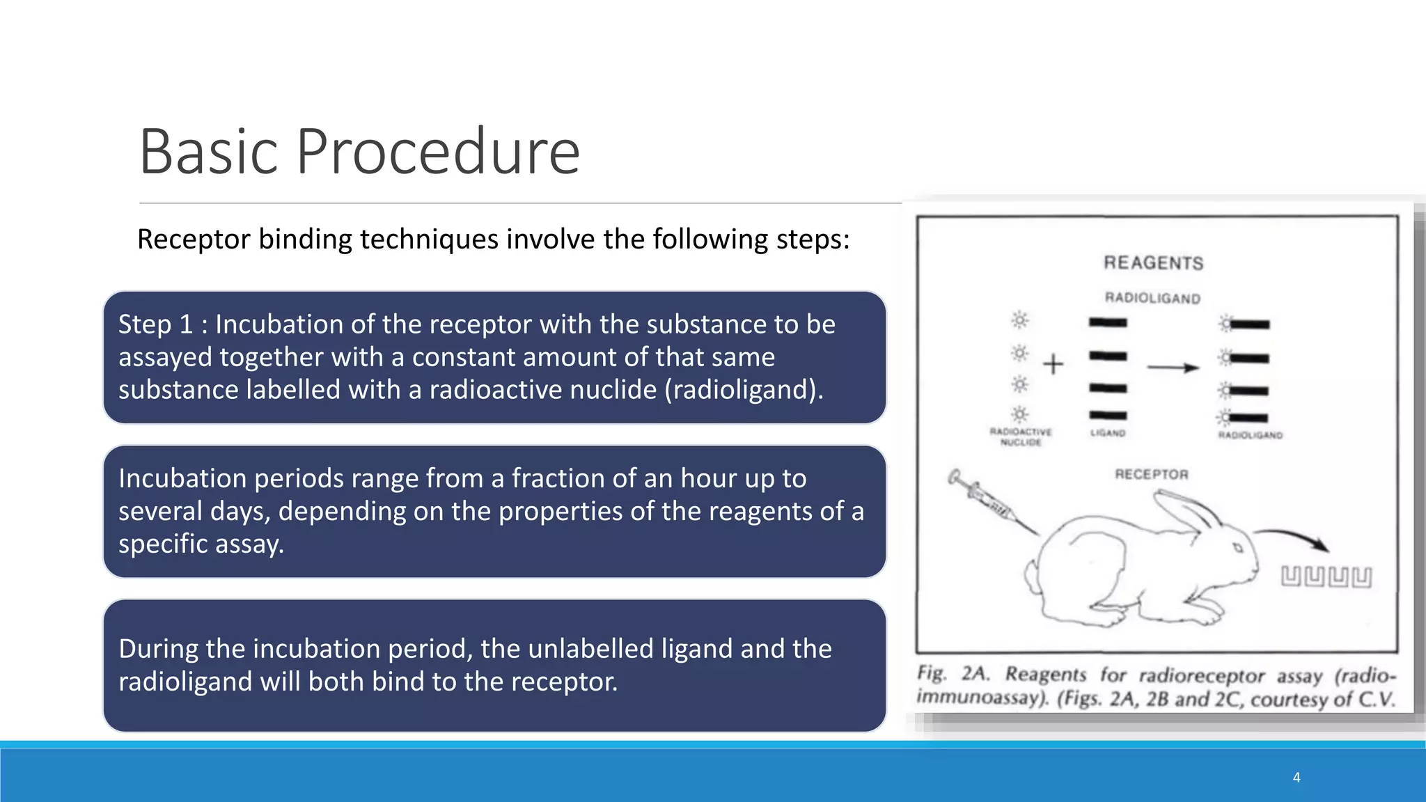 Radioreceptor assay | PPTX