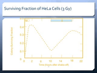 Radiosensitivity and cell age in mitotic cycle .pptx