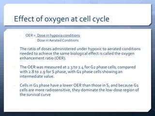 Radiosensitivity and cell age in mitotic cycle .pptx