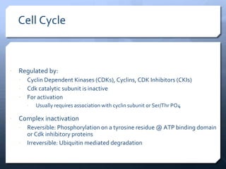 Radiosensitivity and cell age in mitotic cycle .pptx