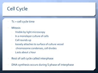 Radiosensitivity and cell age in mitotic cycle .pptx