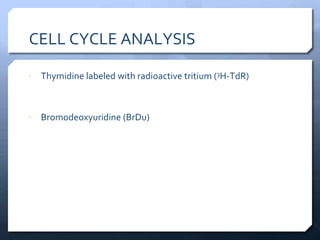 Radiosensitivity and cell age in mitotic cycle .pptx