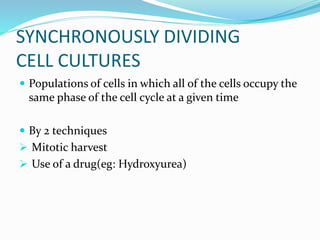Radiosensitivity and cell age in the mitotic cycle | PPTX