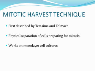 Radiosensitivity and cell age in the mitotic cycle | PPTX