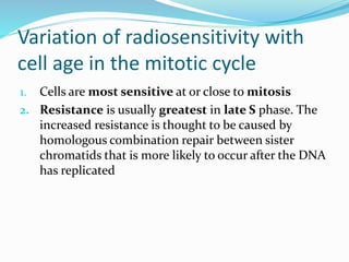Radiosensitivity and cell age in the mitotic cycle | PPTX