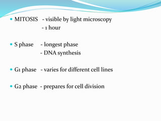 Radiosensitivity and cell age in the mitotic cycle | PPTX