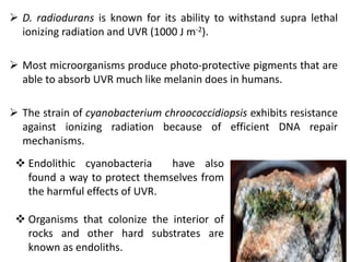 Radiosensitivity mechanism of damage and recovery | PPT