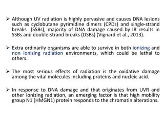 Radiosensitivity mechanism of damage and recovery | PPT