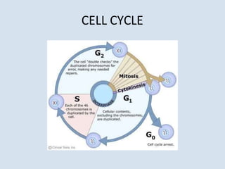 Radiotherapy and basics in radiation oncology.pdf