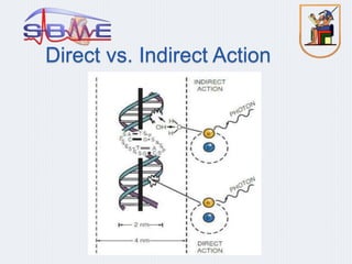 Medical Equipment Radiotherapy1 | PPT