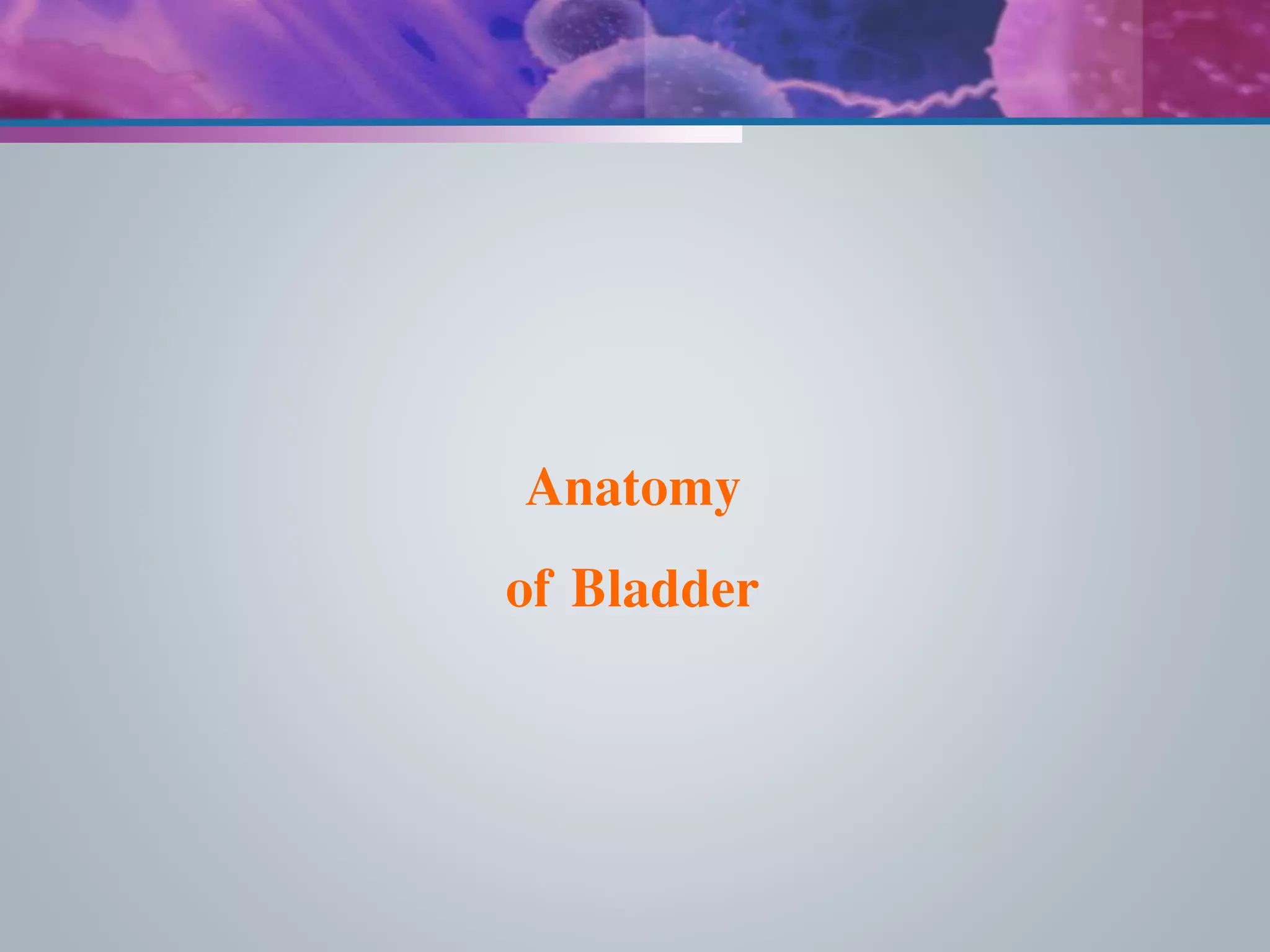 Radiotherapy for bladder cancer part i | PPTX