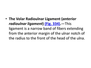 RADIO-ULNAR JOINT IS THE JOINT PRESENT IN HUMAN UPPER LIMB | PPT
