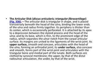 RADIO-ULNAR JOINT IS THE JOINT PRESENT IN HUMAN UPPER LIMB | PPT