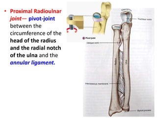 RADIO-ULNAR JOINT IS THE JOINT PRESENT IN HUMAN UPPER LIMB | PPT
